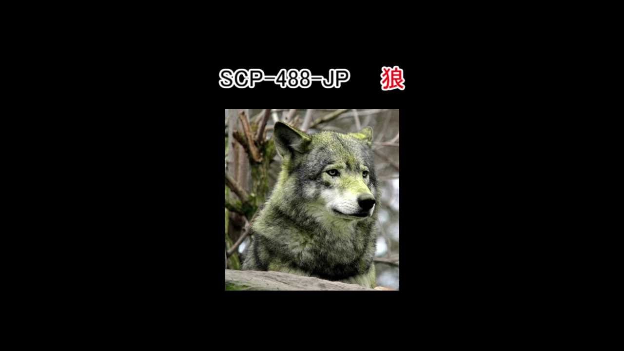 【ゆっくり朗読】 SCP-488-JP 哀れな"赤ずきん"を爪と牙によって腹を裂かれた亡骸にした人狼 【SCP財団】 - YouTube