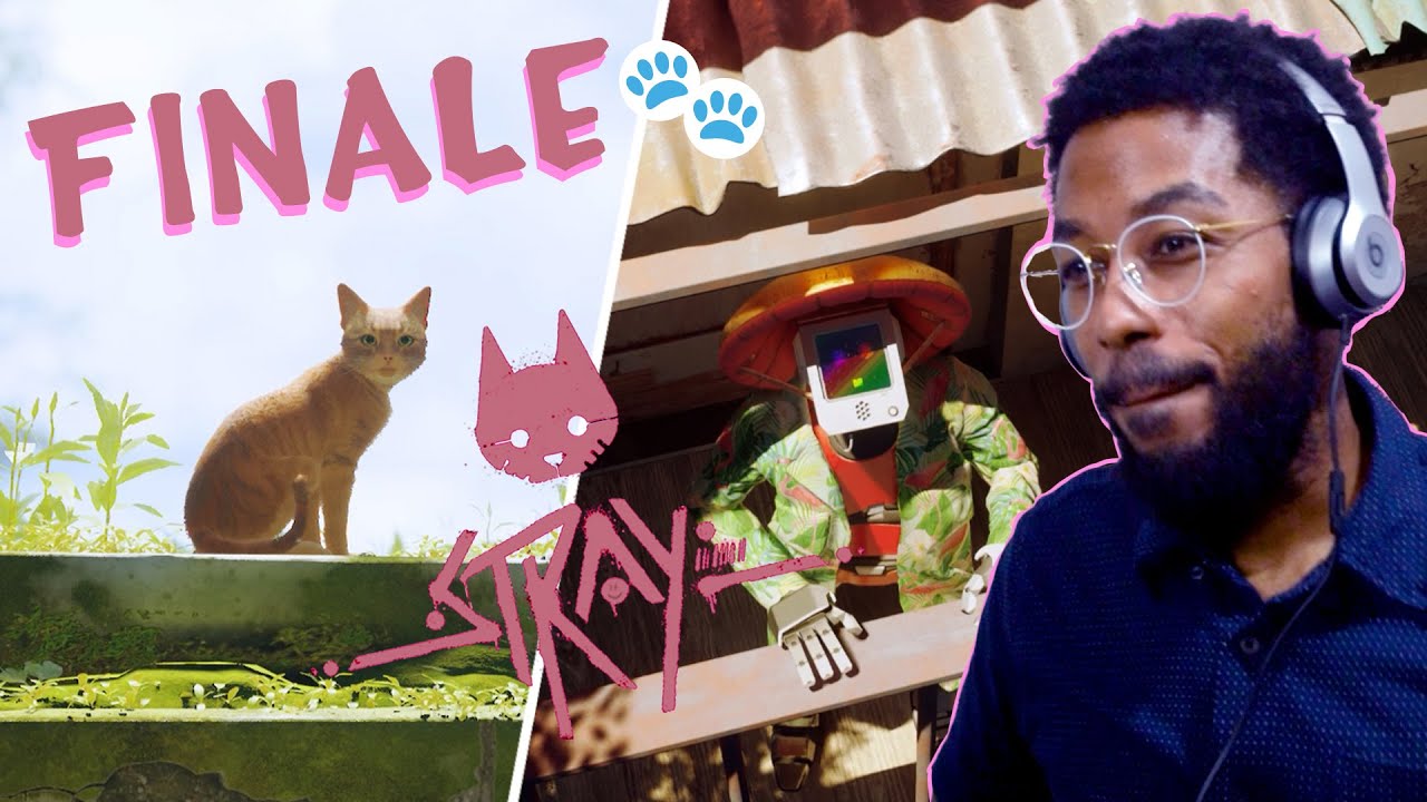 From Cat to the World! | Stray Finale! - YouTube