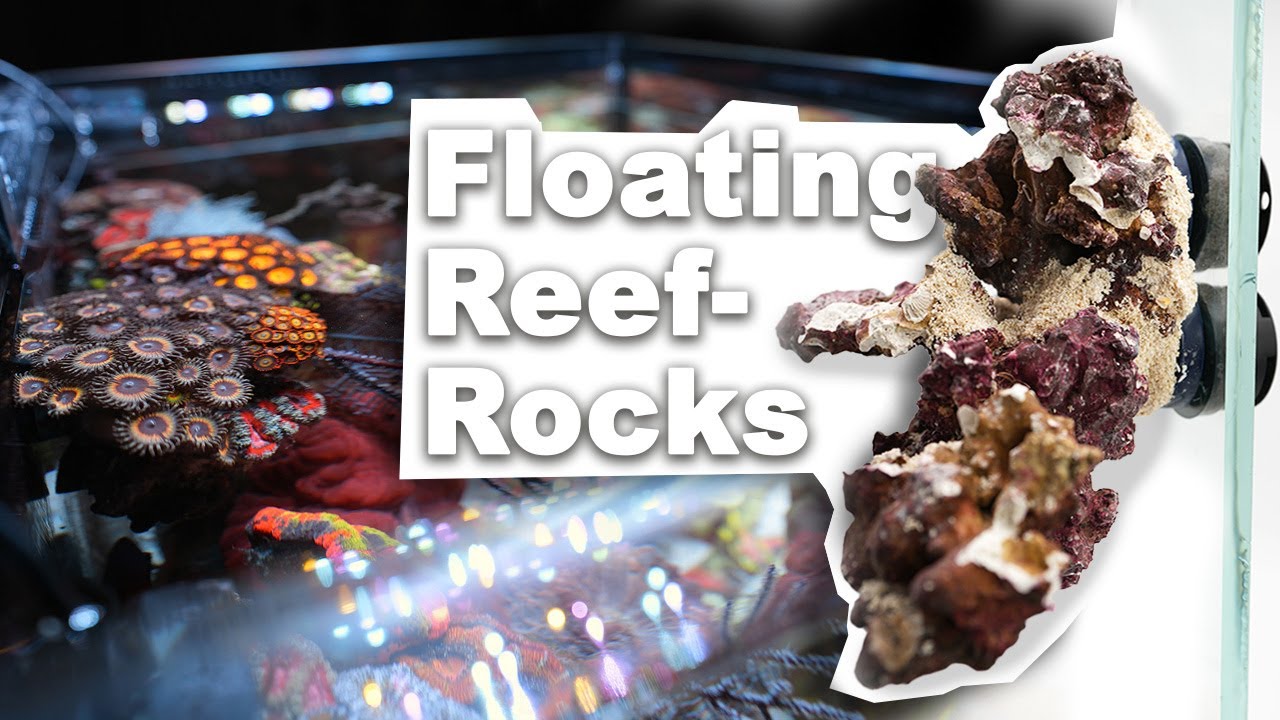 Unsere FLOATING REEF ROCKS von "Reef Art & Design" *jetzt erhältlich ...