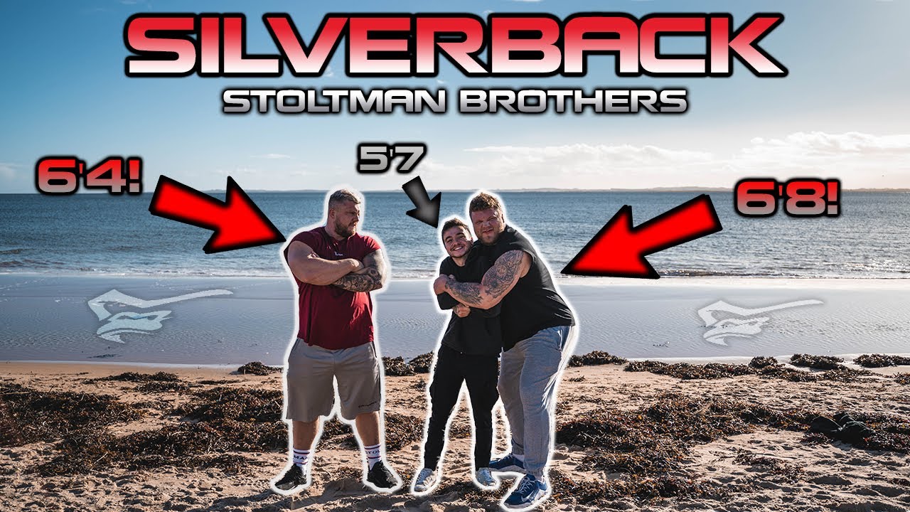 WHAT HAPPENED WHEN SILVERBACK MET THE STOLTMAN BROTHERS??! - YouTube