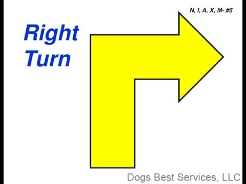AKC Rally Novice Sign #5 : Right Turn - YouTube