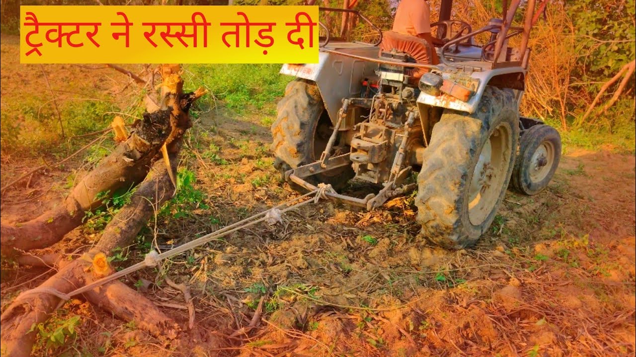 Aaj kheto pr ek ped tut gya tractor ne rassi thod di😍😭🚜 - YouTube