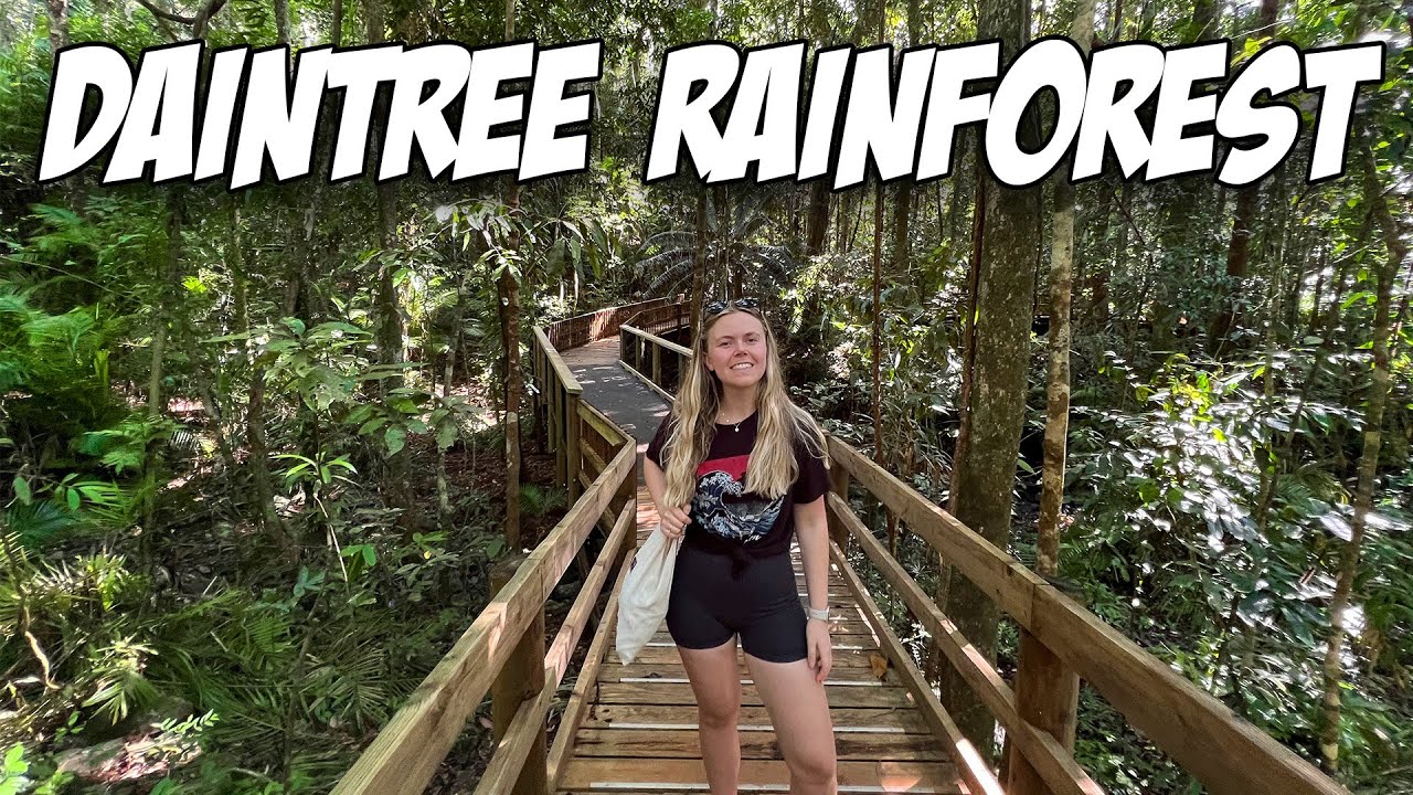 Where the rainforest meets the reef - Exploring Daintree - YouTube