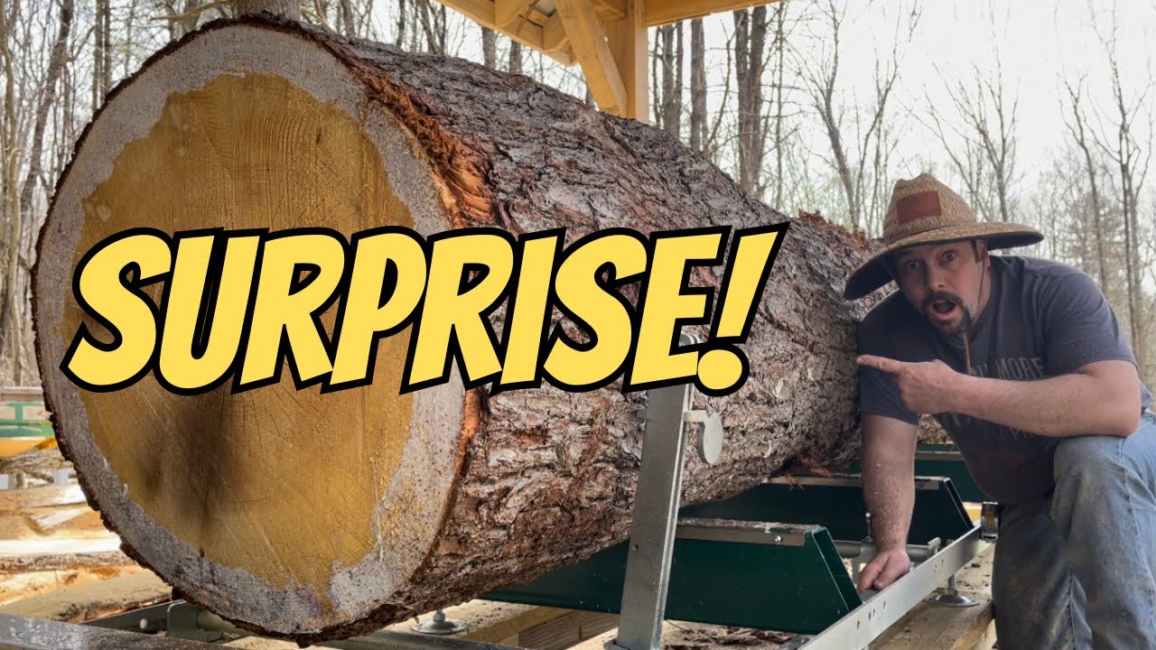 I found hidden treasure in this log…TWICE!!! - YouTube