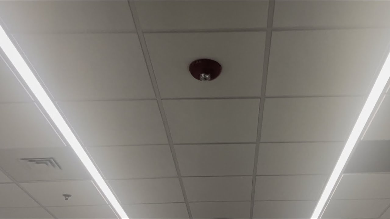 Easy Voice Evac (Fire Alarm A/V Test) [05-24-2024] - YouTube