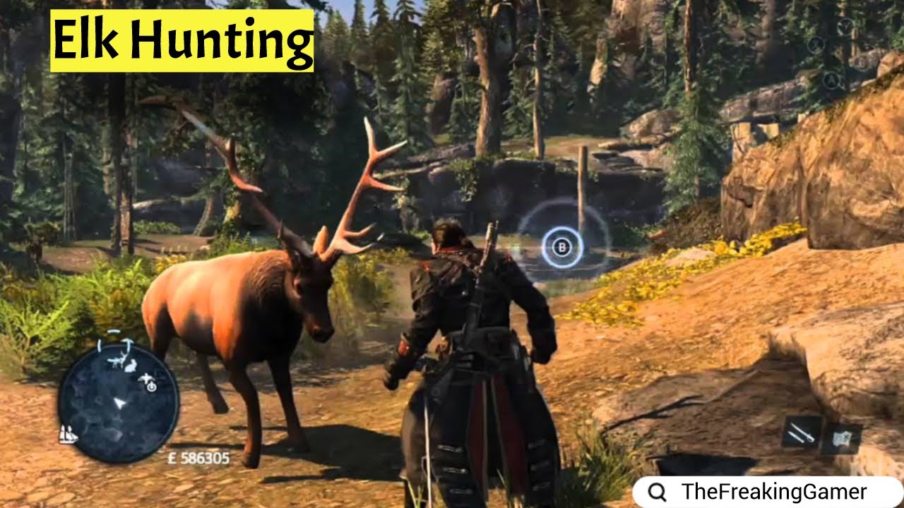 Elk Hunting - Assassins Creed Rogue - YouTube