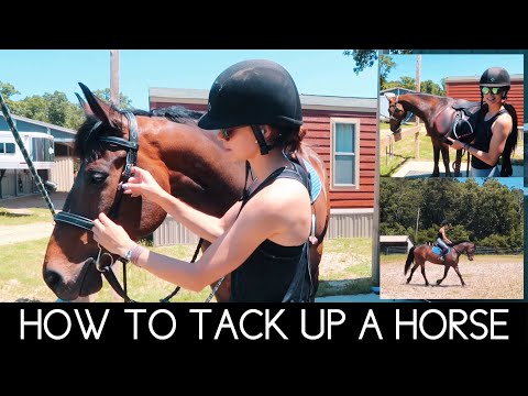 HOW TO TACK UP A HORSE // English Tack