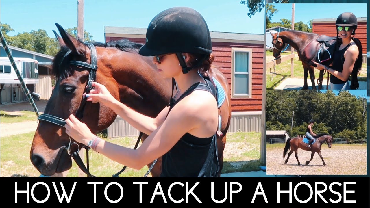 HOW TO TACK UP A HORSE // English Tack - YouTube