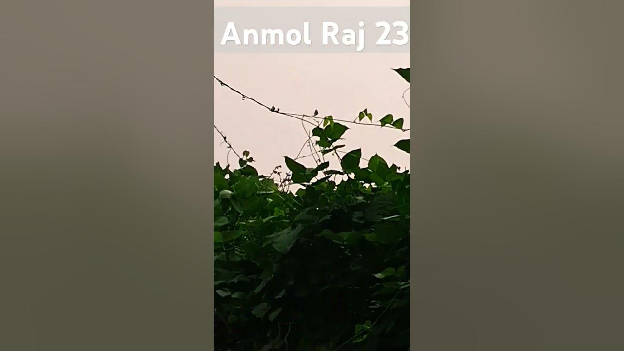 Anmol Raj 23 - YouTube