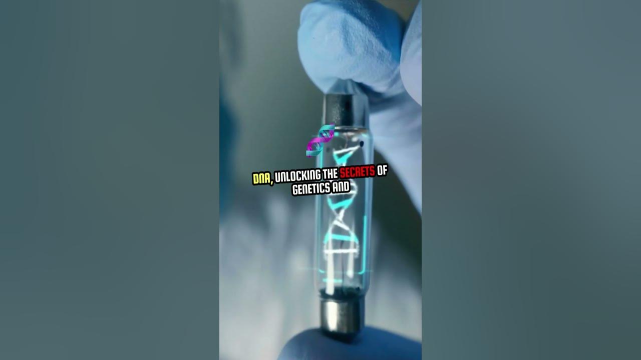 "Imagine a World Without Electricity 🌍⚡ - Life in the Dark!" - YouTube