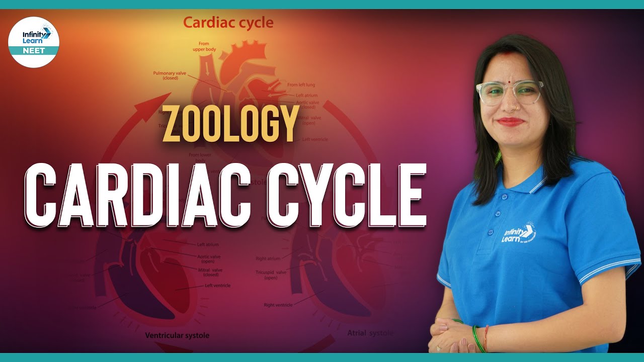 Cardiac Cycle || Zoology || #Shorts || Medha Joshi || Infinity Learn ...