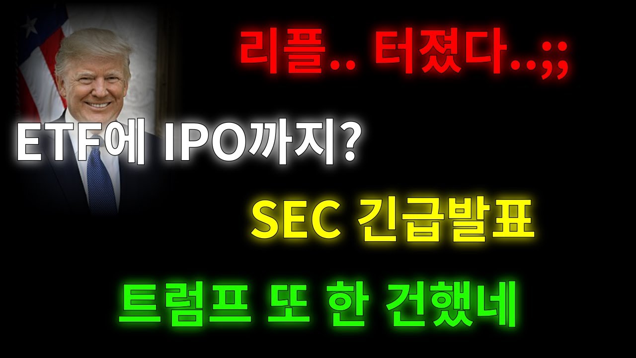 리플 Xrp 25년은 트럼프만 믿어보자 리플코인 리플전망 리플호재 리플분석 리플대응 리플목표가 Youtube