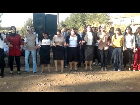 emerin daweta mansur