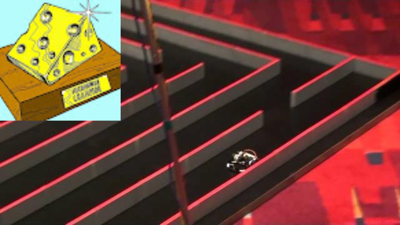 APEC 2015 Micromouse contest fast runs and scores - YouTube