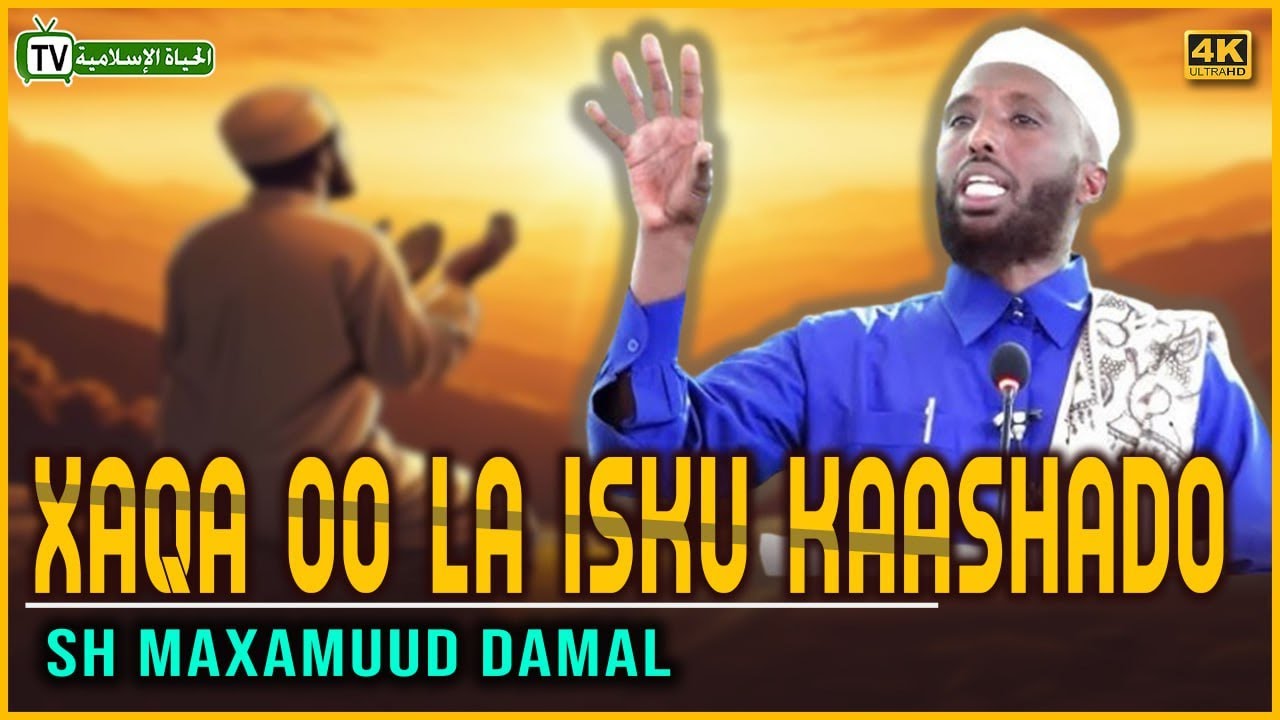 Xaqa Oo La Isku Kaashado || Sh.Maxamuud Damal || - YouTube