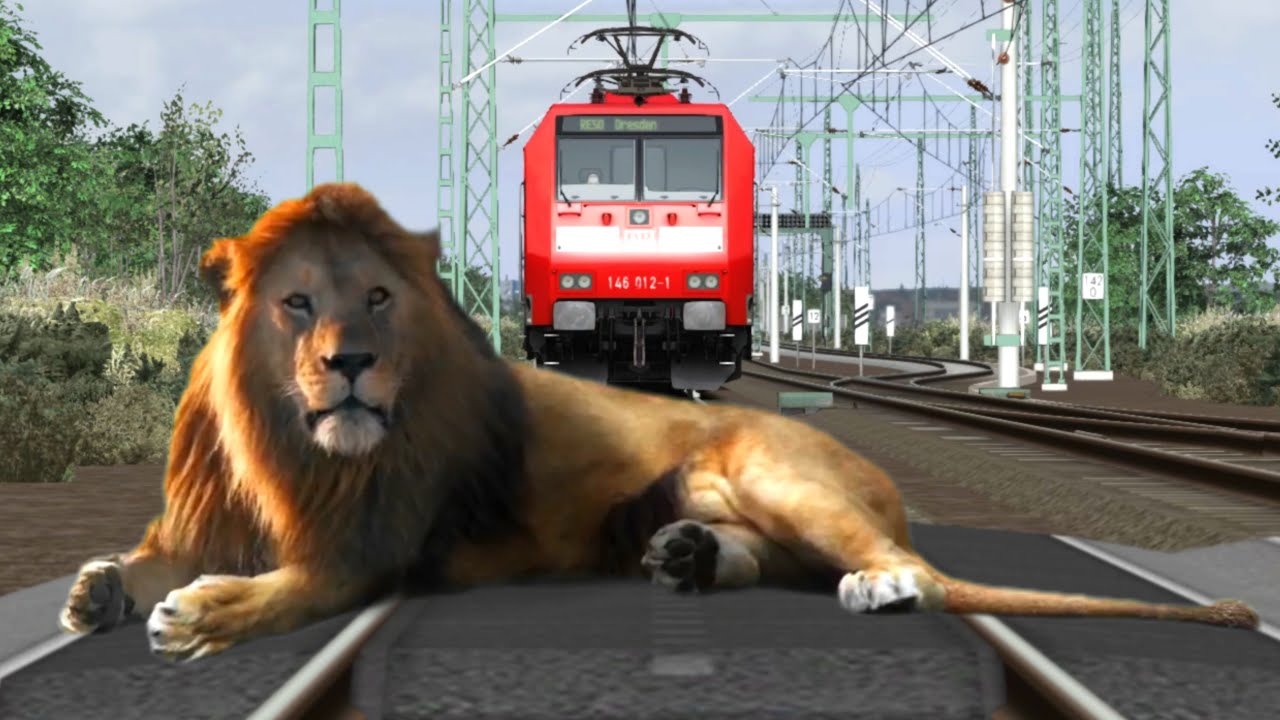 Lion Vs Train on Railway Track | stop the train – BeamNG.Drive - YouTube