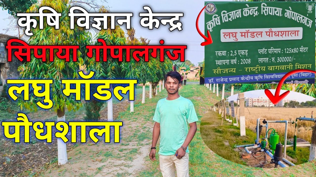 कृषि विज्ञान🌲🌾 केन्द्र सिपाया गोपालगंज लघु मॉडल पौधशाला || ANKIT AJ ...