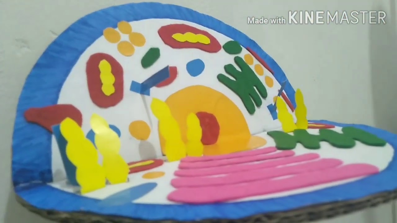 ANIMAL CELL 3D | PEMBUATAN MODEL SEL HEWAN DARI KARDUS BEKAS - YouTube