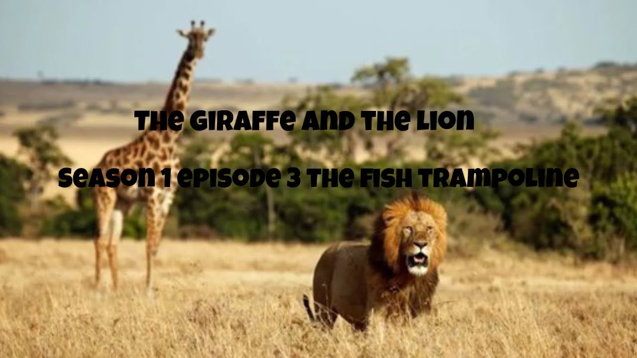 The giraffe and the lion season 1 episode 3 - YouTube
