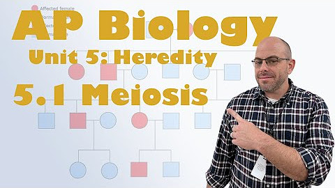 AP Biology - Unit 5: Heredity - YouTube