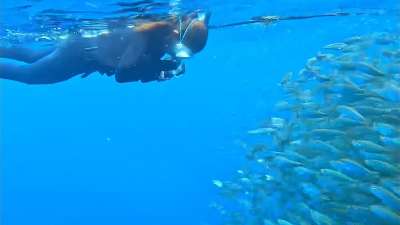 How I spend my weekend/ Relaxing/ freediving - YouTube