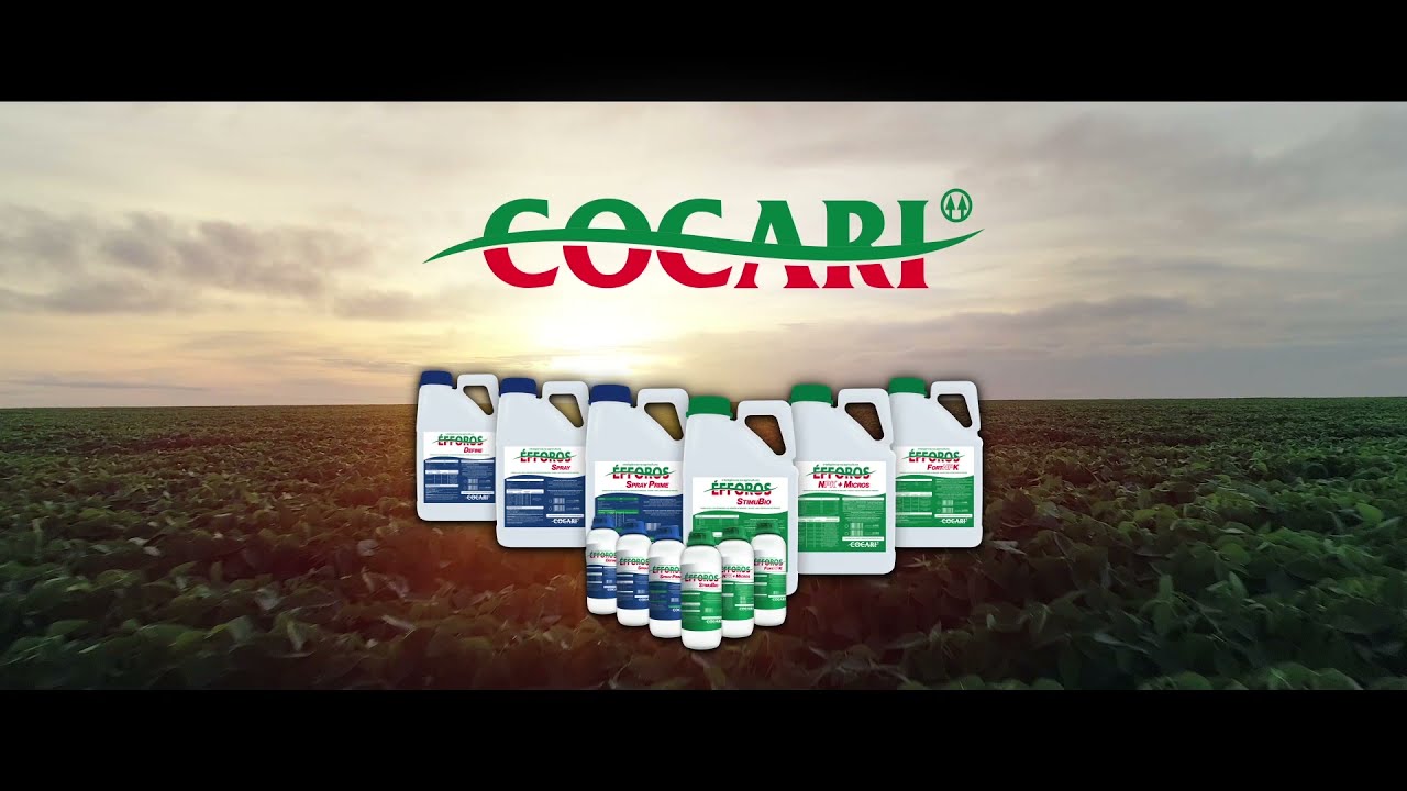 Cocari lança linha de produtos Éfforos - YouTube