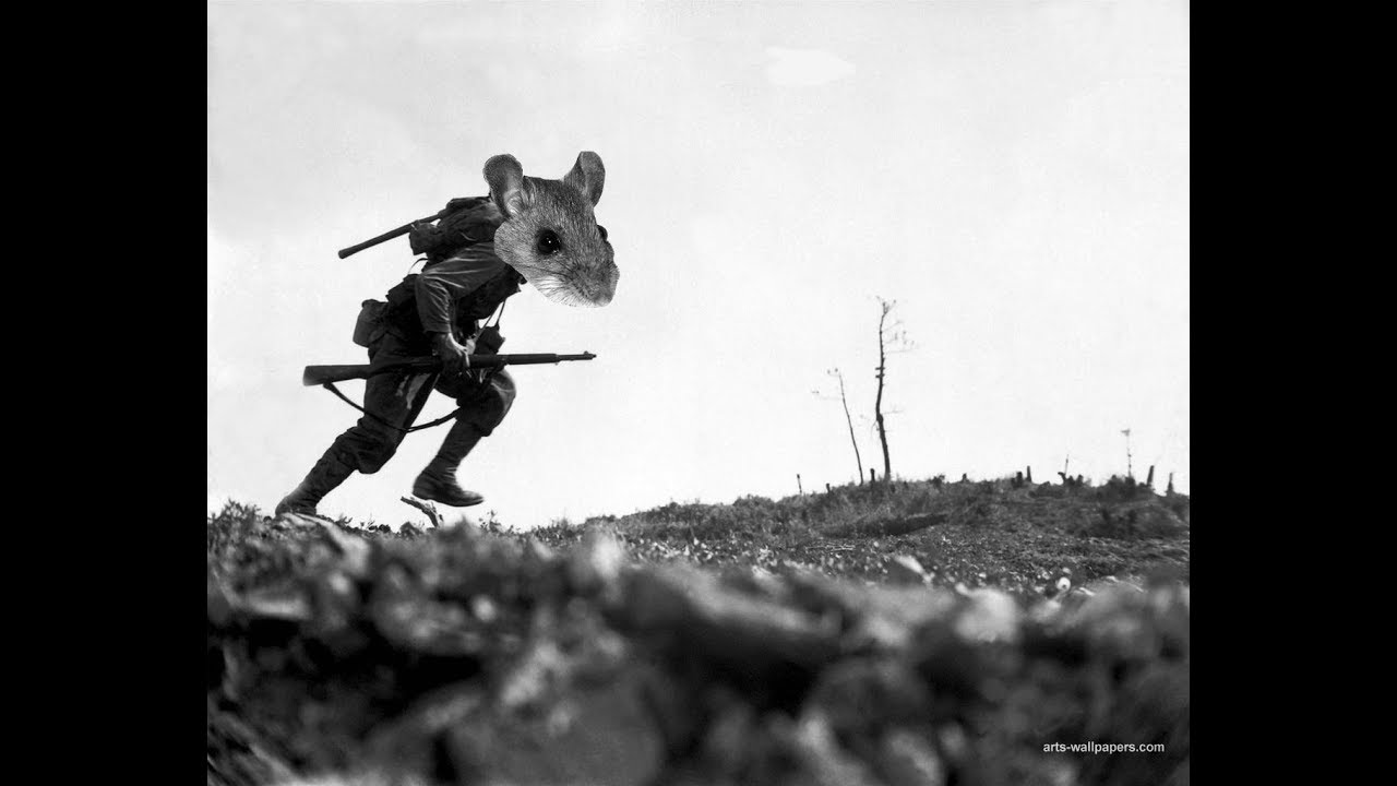 Three unkown rodents join the army! Call of Duty WWII - YouTube