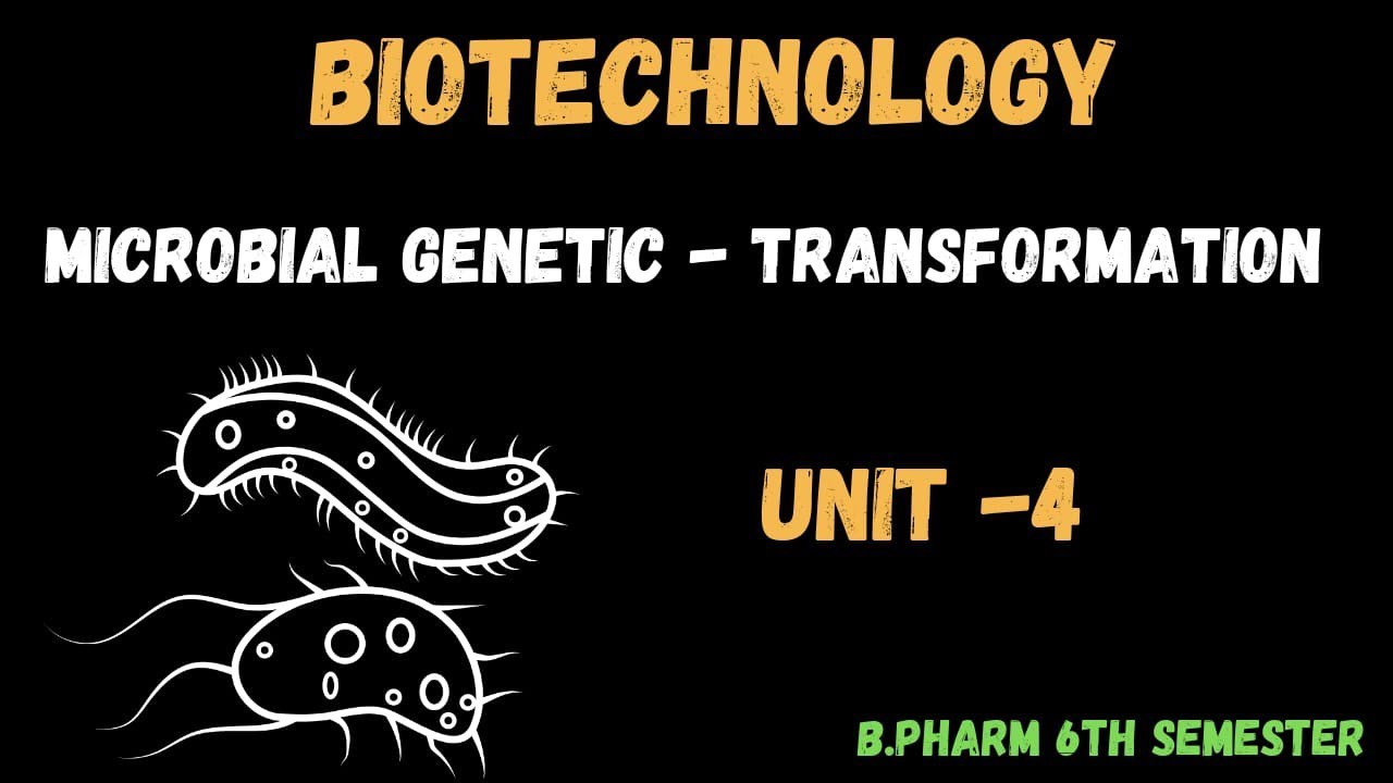 Transformation - Microbial Genetics | Biotechnology | Unit - 4 | B ...