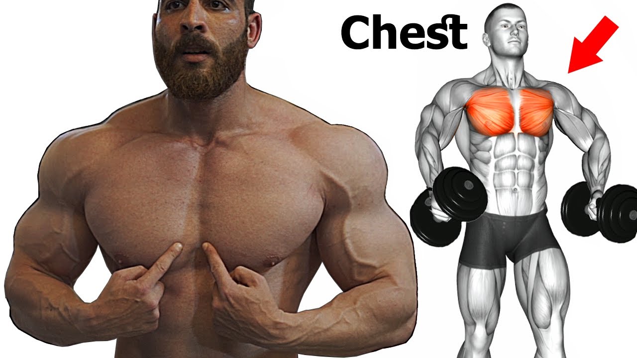 Chest Workout: I am sure you will love this video very much - YouTube