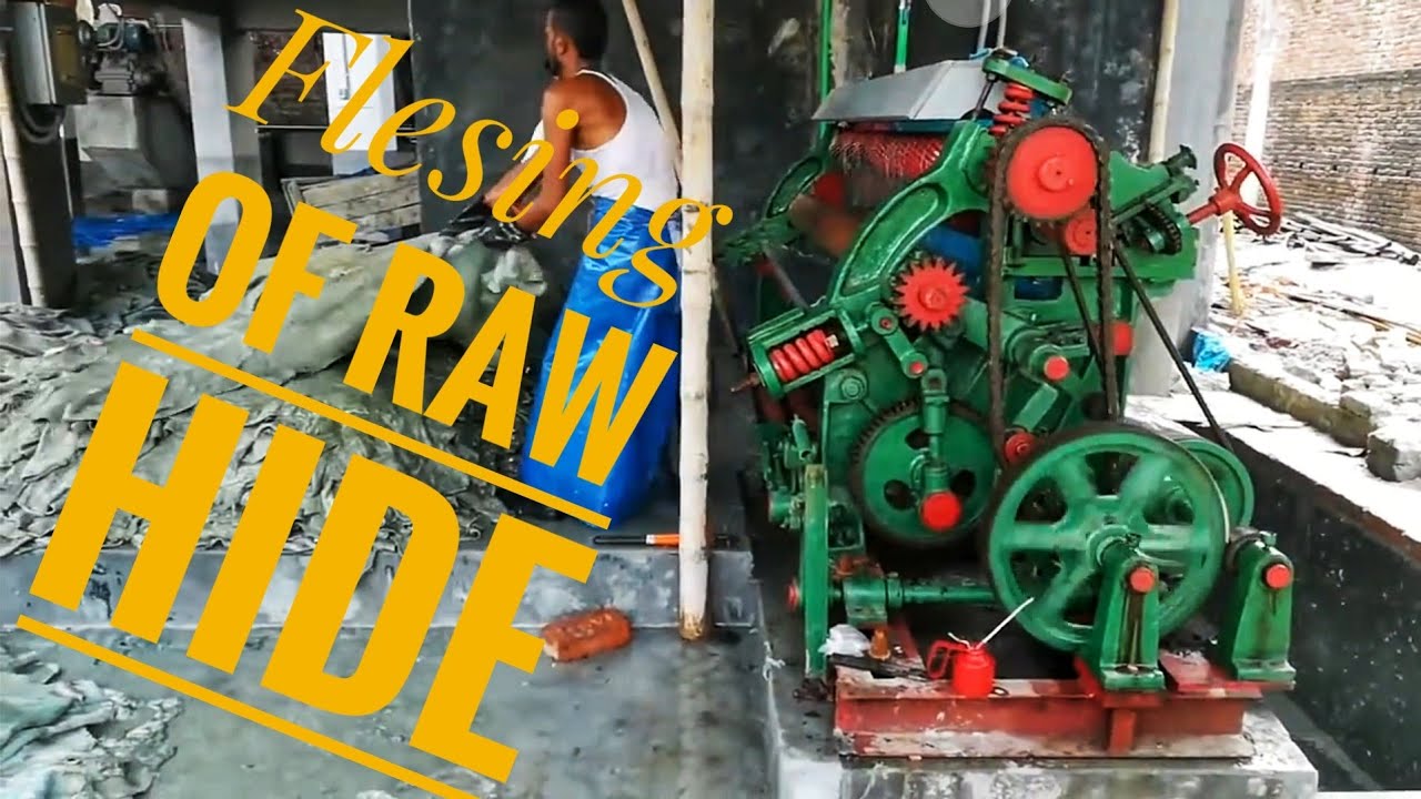 Fleshing of Raw hide work is going on - YouTube