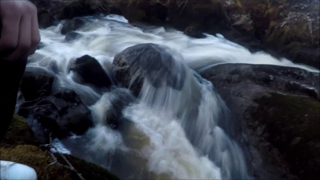 Kossu from Finland Koski from lojo - YouTube