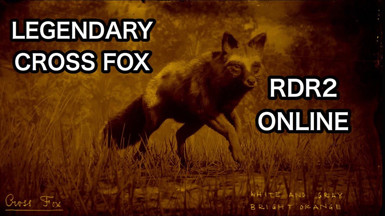 LEGENDARY CROSS FOX RED DEAD REDEMPTION 2 ONLINE HARRIET MISSION ...