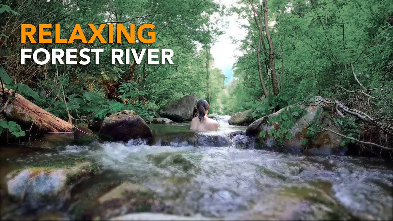 Water Stream & Birdsong Sounds. River Sounds Near a Beautiful Waterfall ...