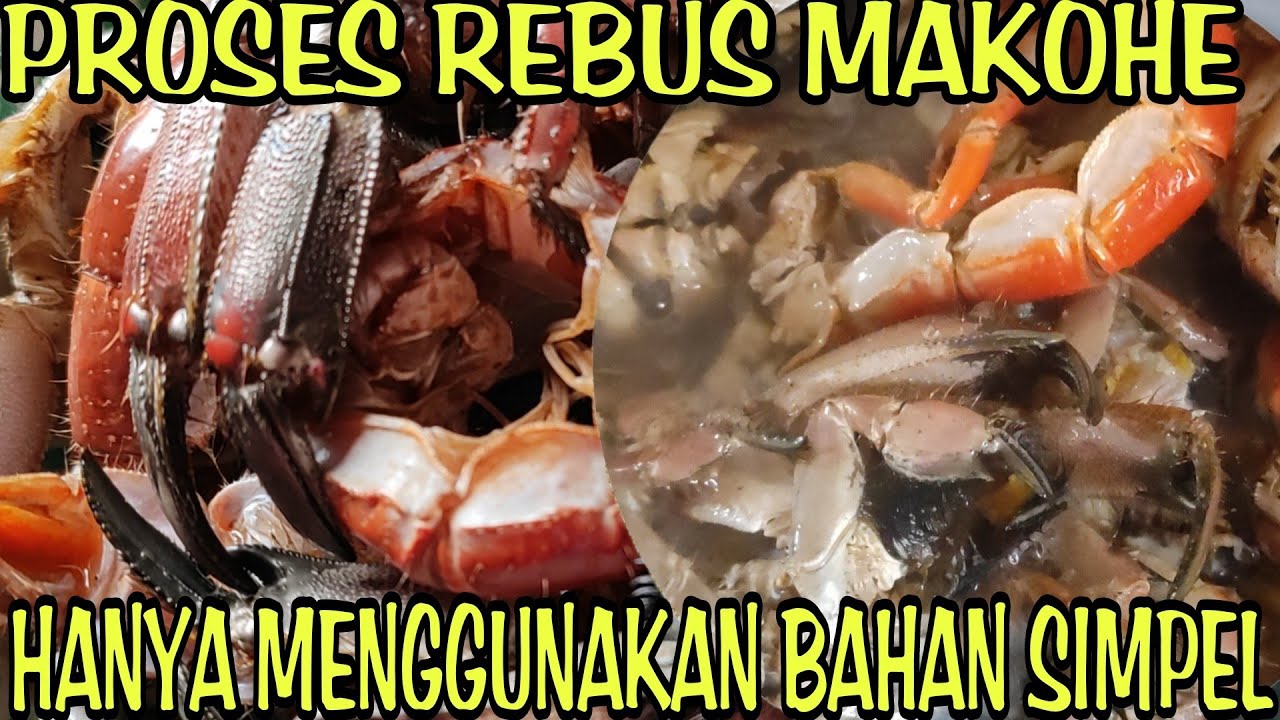 Proses rebus makohe atau udang bakau rama-rama dengan bahan simpel dan ...