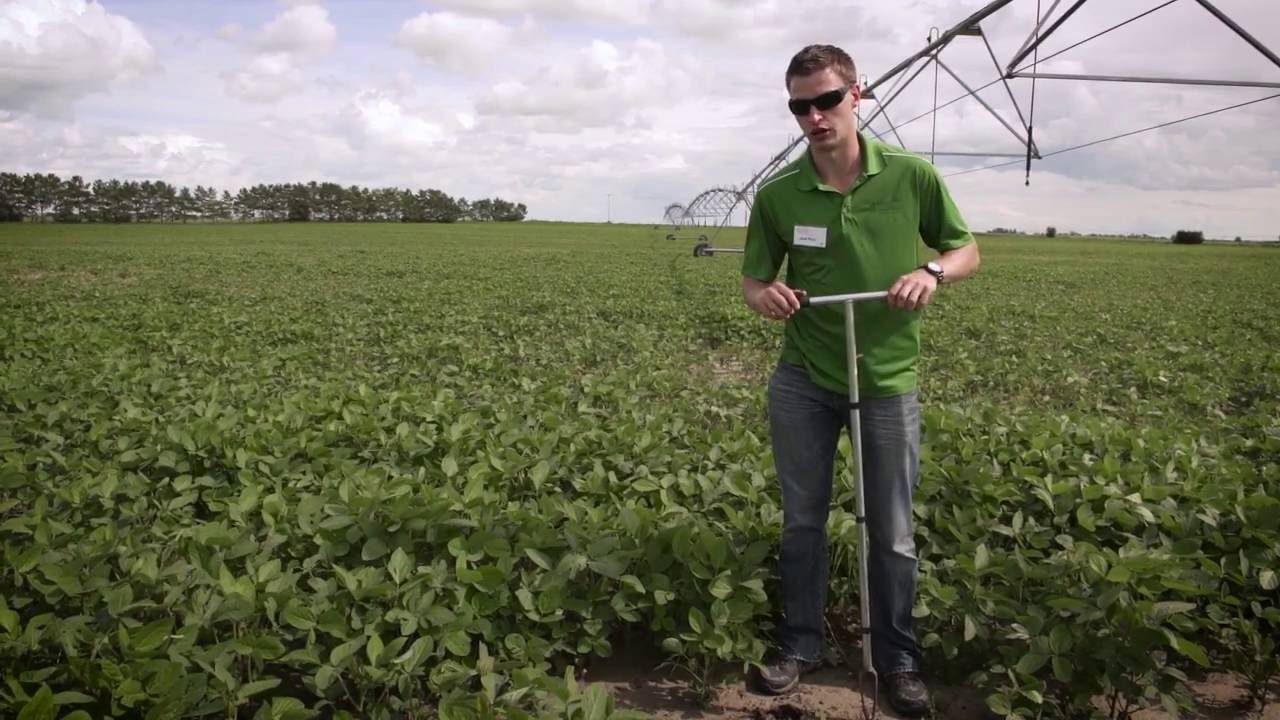 Irrigation Scheduling, Part 3: The “feel method” of monitoring soil ...