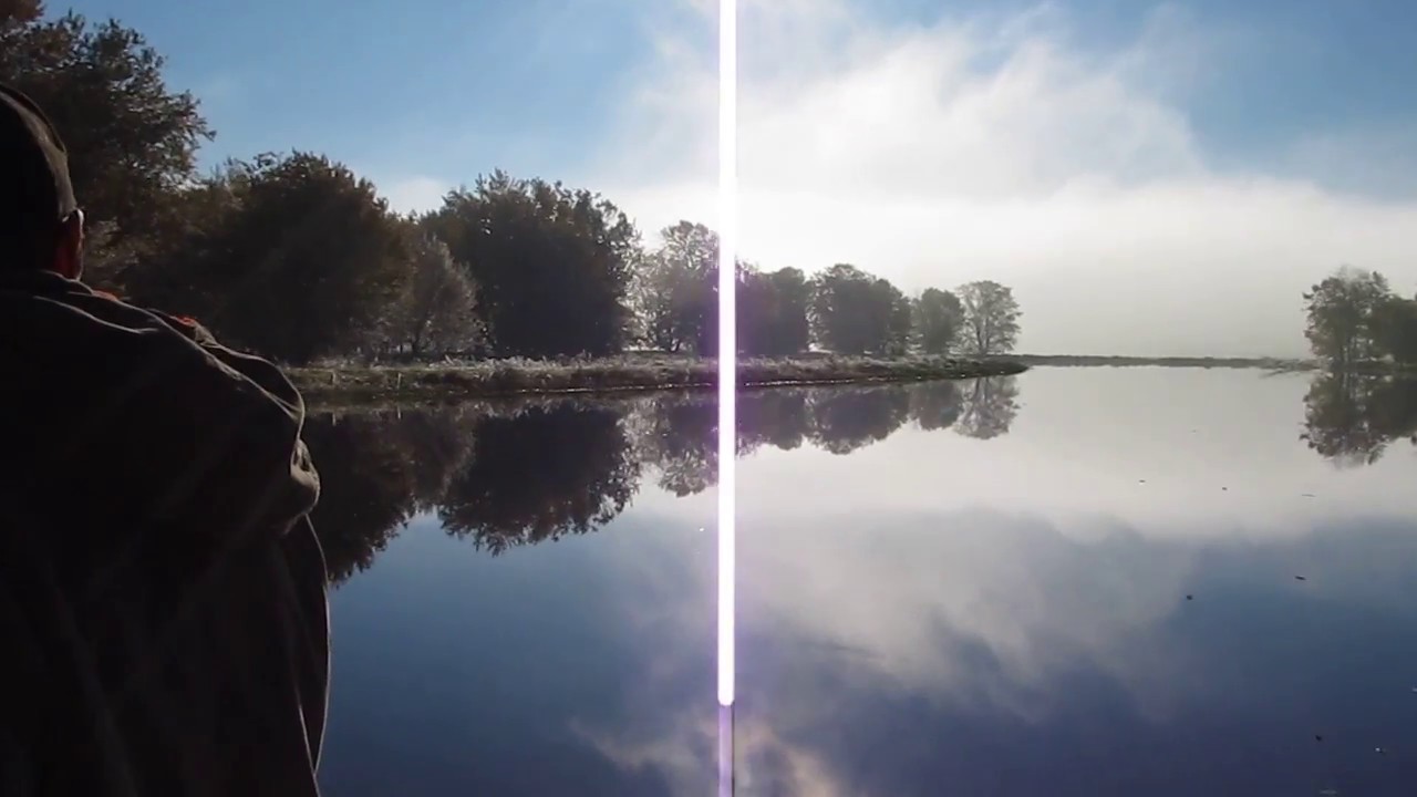 Spider migration - YouTube