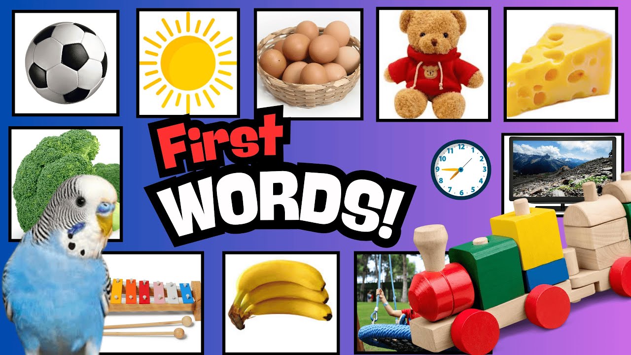 First 50 Words | Baby’s First English Vocabulary | Fun Learning Video ...