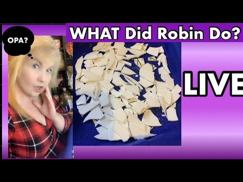 WHAT Did Robin Do? | Live | Smashing Plates | Mosaic Crafting - YouTube