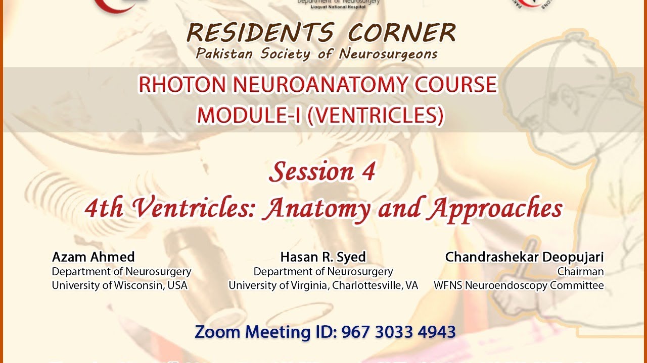 Rhoton Neuroanatomy Course Module I Session IV - YouTube