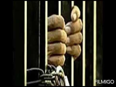 Ergin D - Ah gardiyan zalim gardiyan