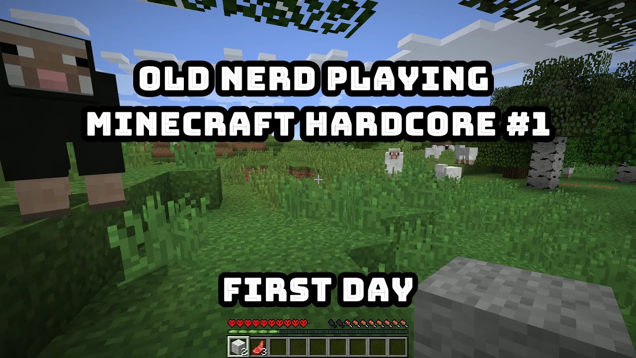 Old Nerd Playing Minecraft Hardcore #1 / 1st Day / PC Gameplay 1080p ...