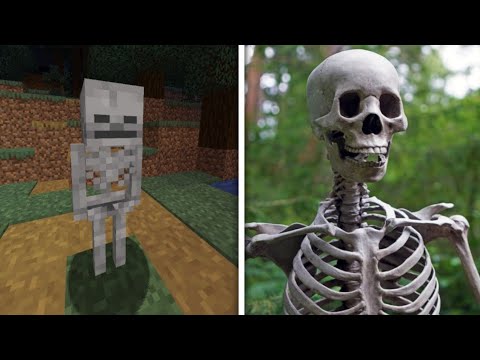 Minecraft mobs in real life - YouTube