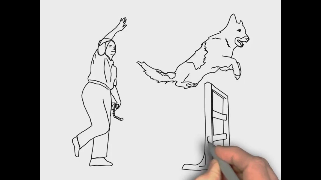 how to draw dog training for kids very easy - YouTube