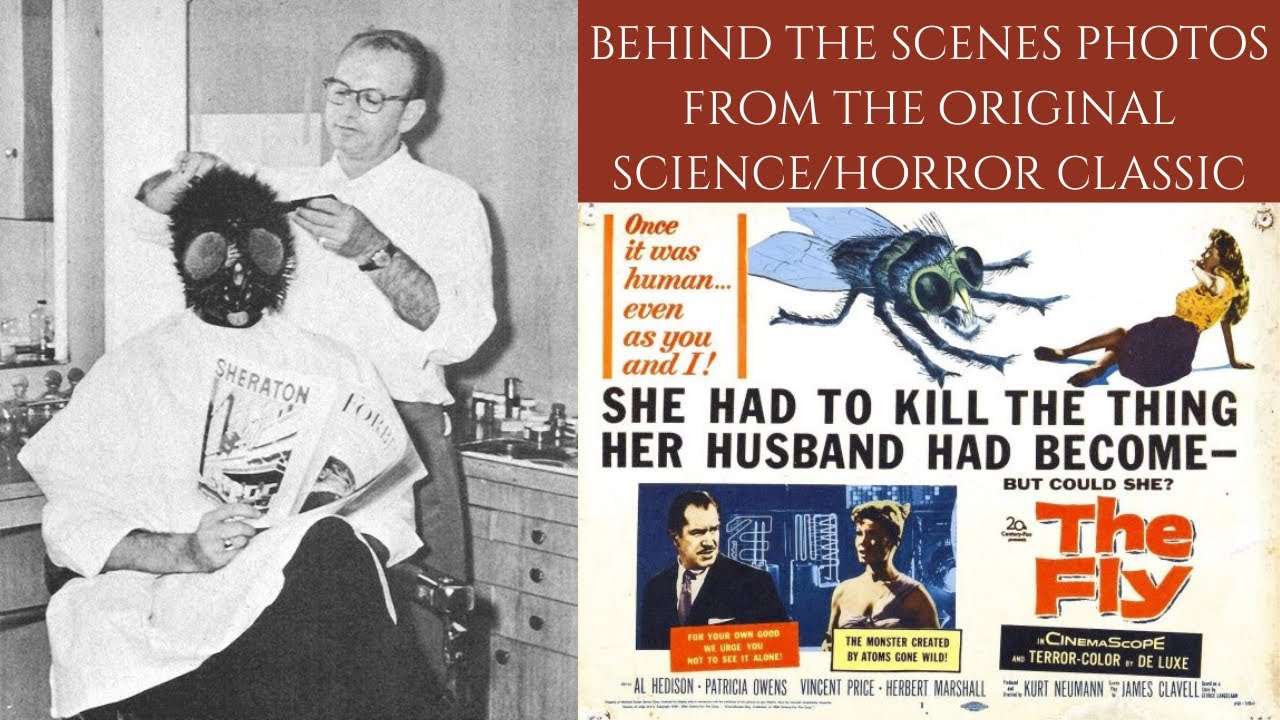 THE FLY - Behind The Scenes Photos From The Original 1958 Horror ...