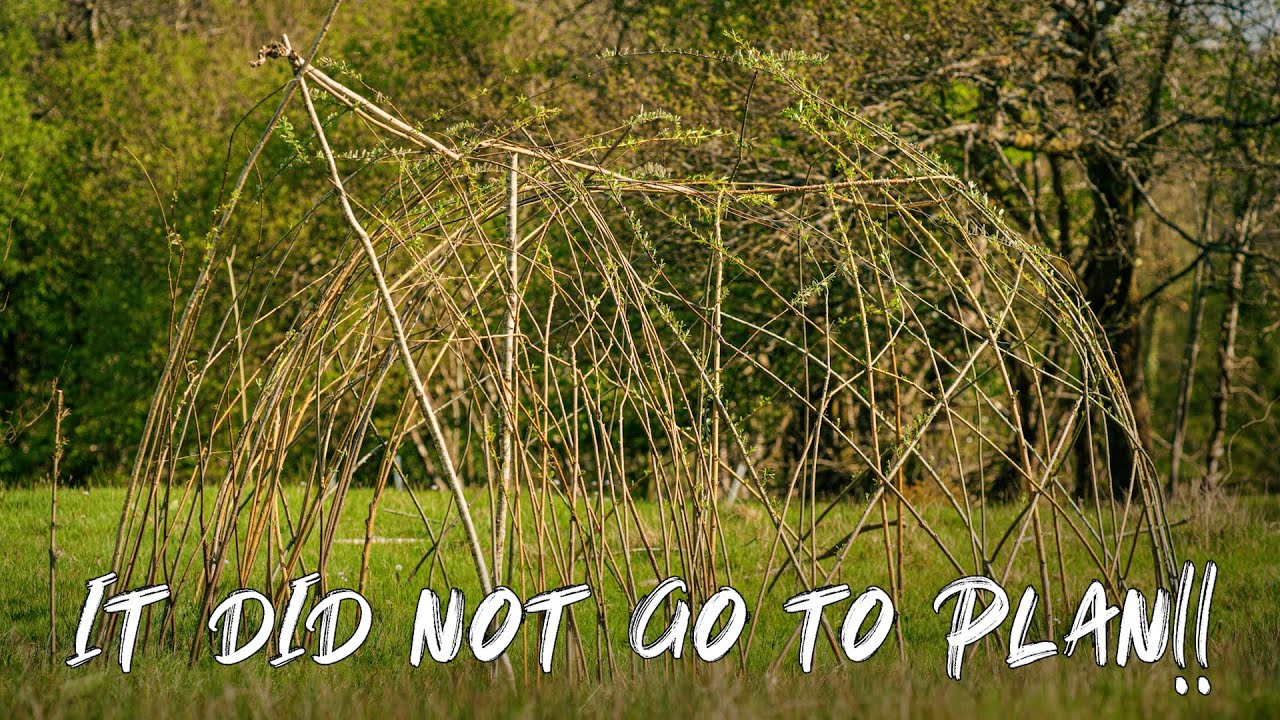 Making a willow dome | Living willow structures | Our 1st attempt ...