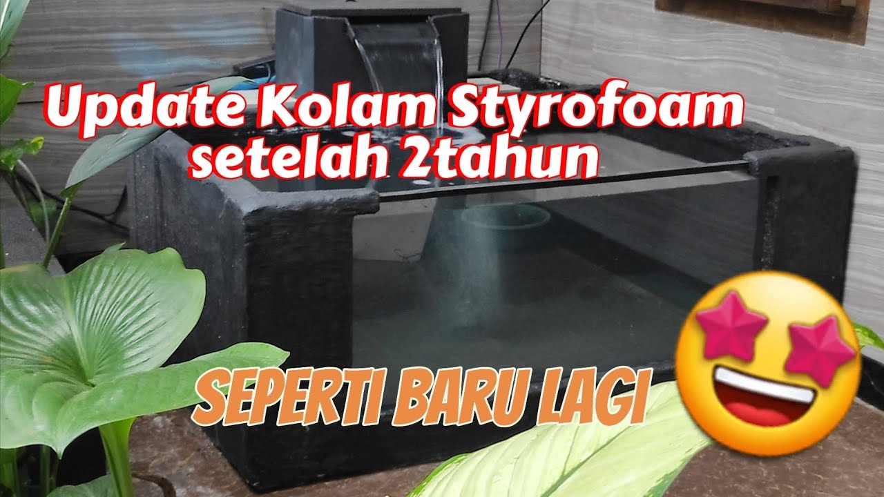 PORTABLE GOLDFISH KOI POND, Update kondisi kolam mini foam setelah 2 ...