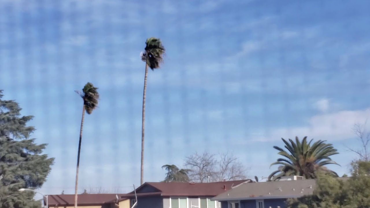 Gusty Windy WNW To NW Winds And Sunny 3:05pm February 17, 2020 - YouTube