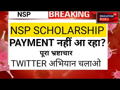 nsp new update today | nsp | Twitter पर अभियान चलाओ [ 12 june news ...