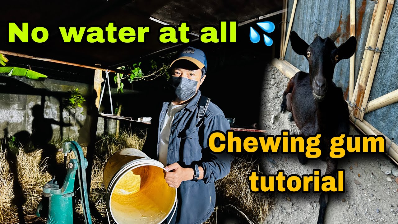 No more water left 🙂|| Tough day again || Another day struggle - YouTube