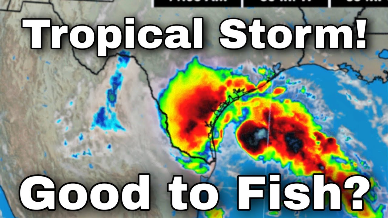 Storm Affect Fishing | GO FISH - YouTube
